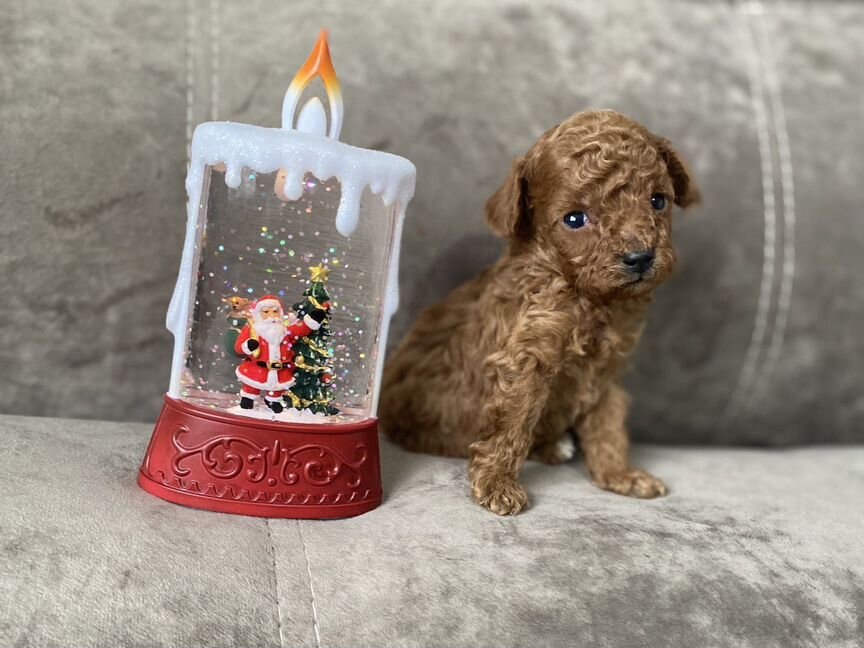 Малюсенький малыш 1 мес