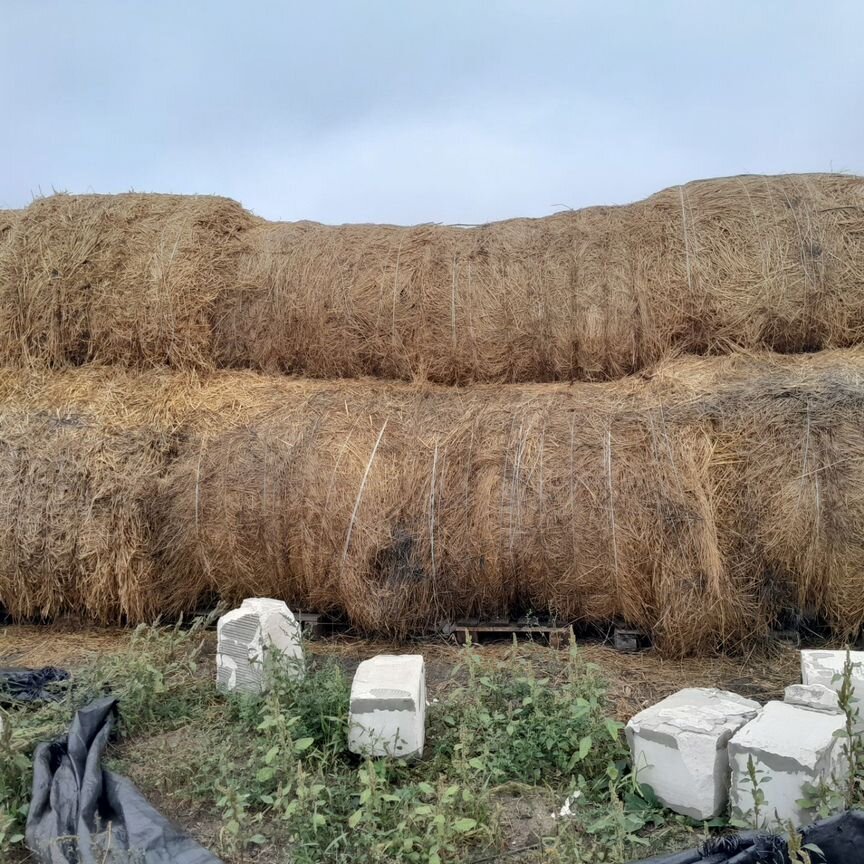 Сено солома в тюках