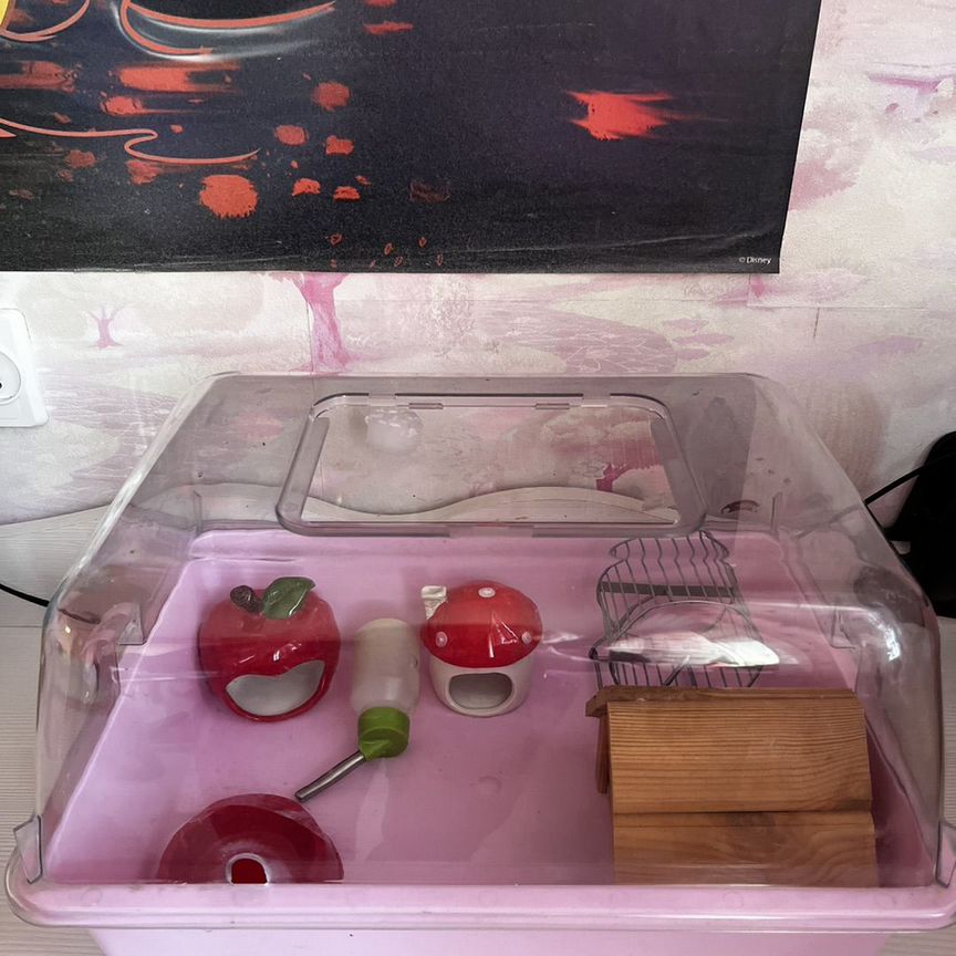 Домик для хомяка со всем необходимым