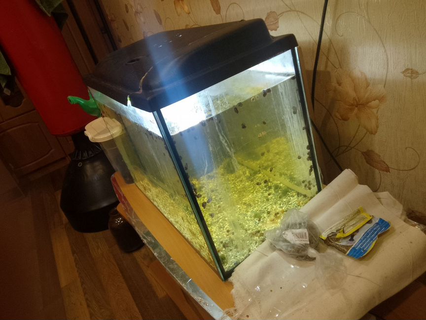 Аквариум