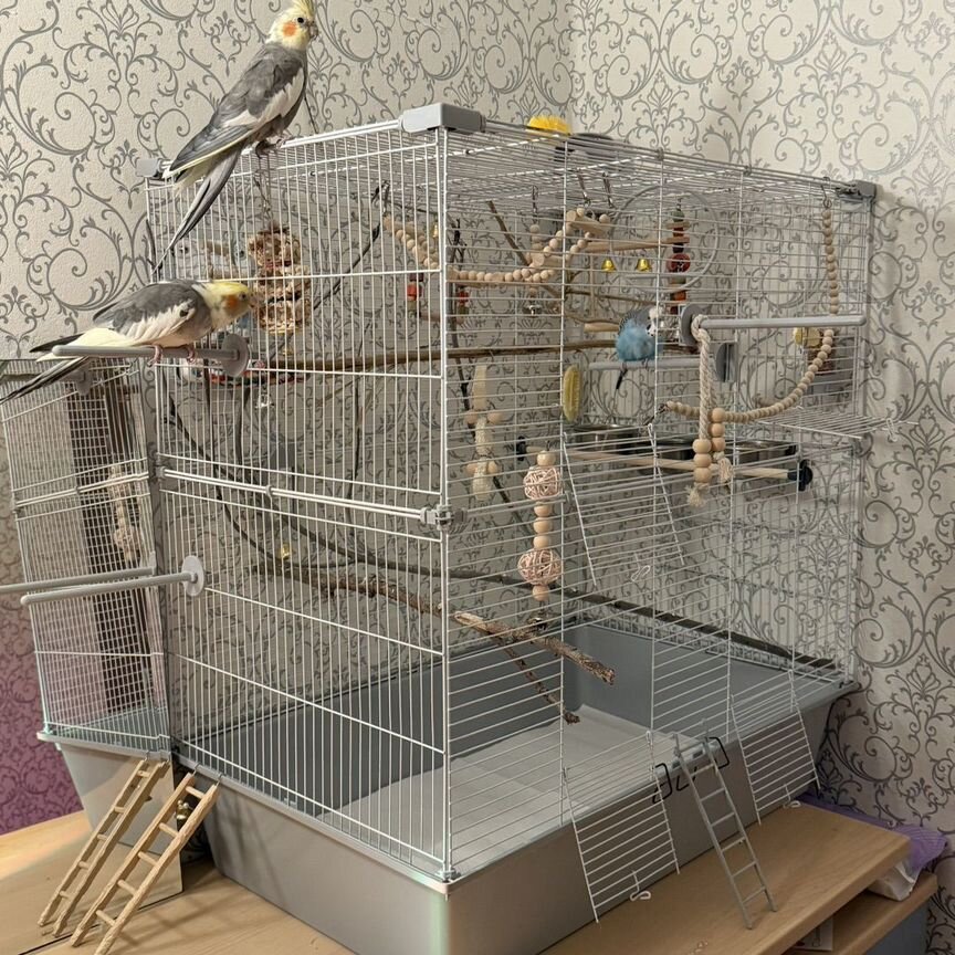 Клетка для попугая