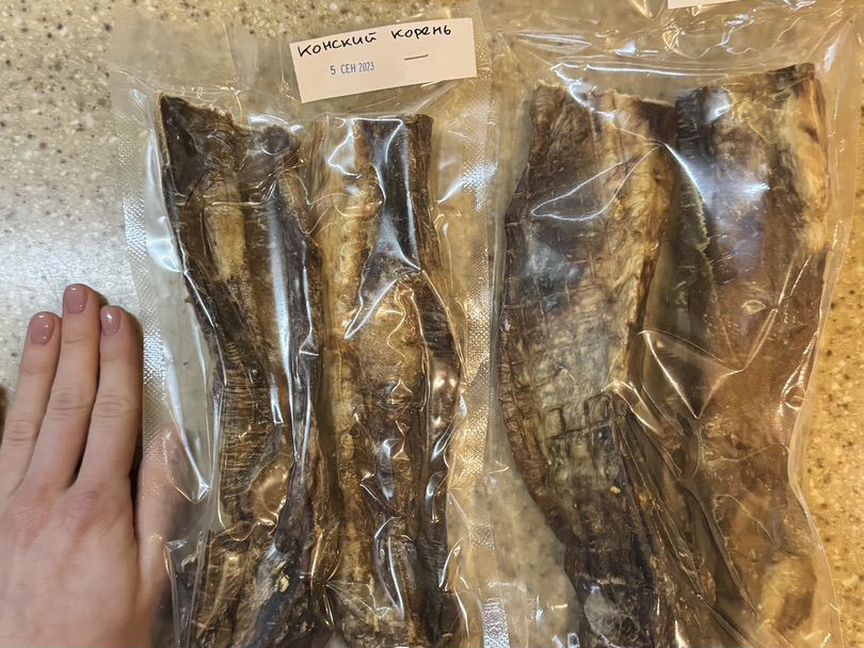 Конский корень piglet