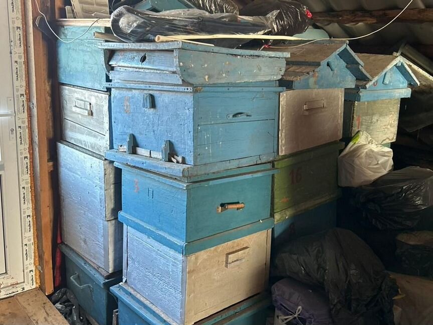 Продам ульи для пчел