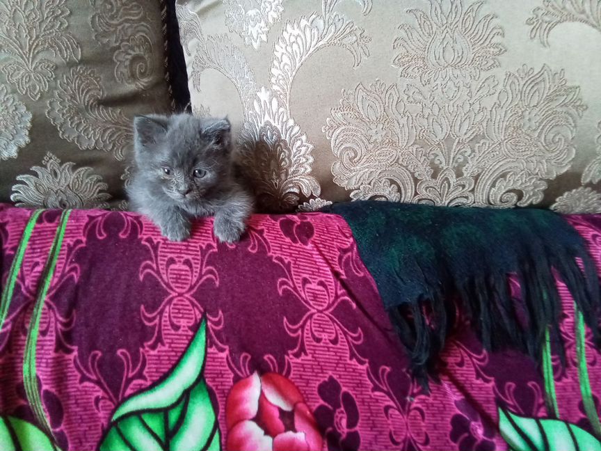 Маленькая Лёля