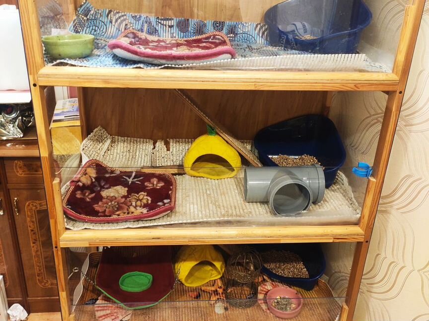 Стеллаж для морских свинок