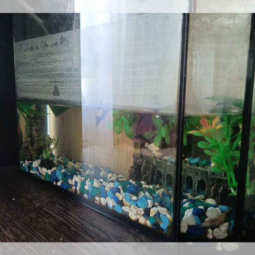 Аквариум с рыбками и декорациями