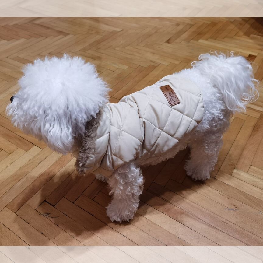 Жилетка для собаки / кошки