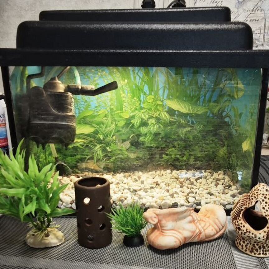 Аквариум 10 литров, фильтр aquael mikro plus