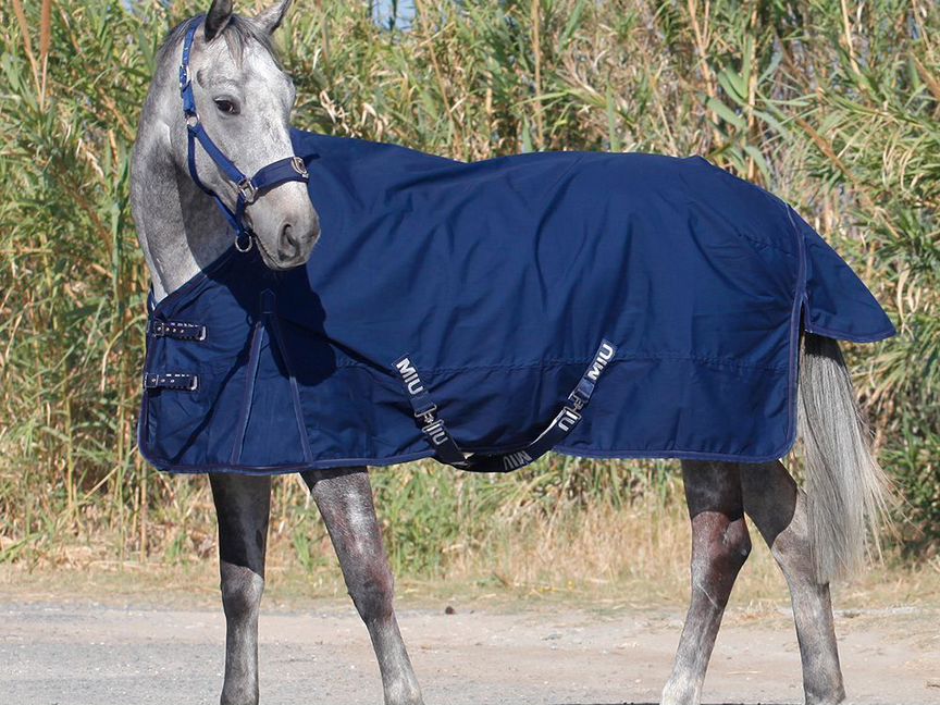 Попона хлопковая размер 110