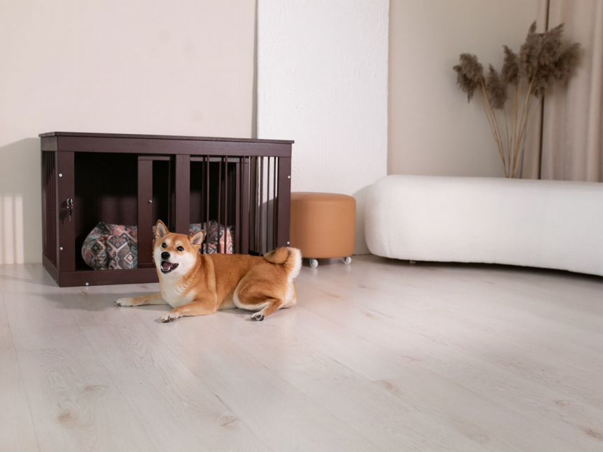 Вольеры для собак от производителя