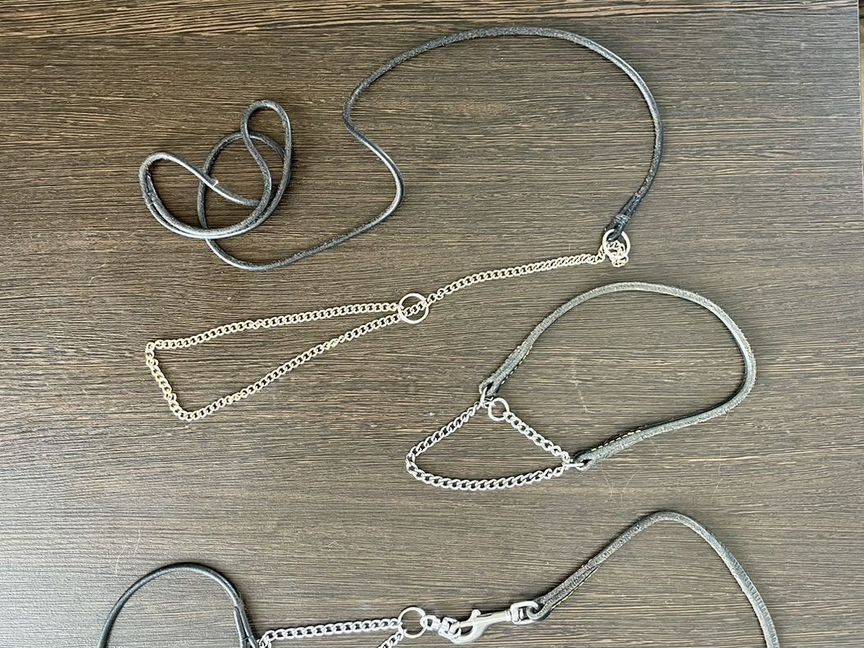 Ринговка выставочная для собак