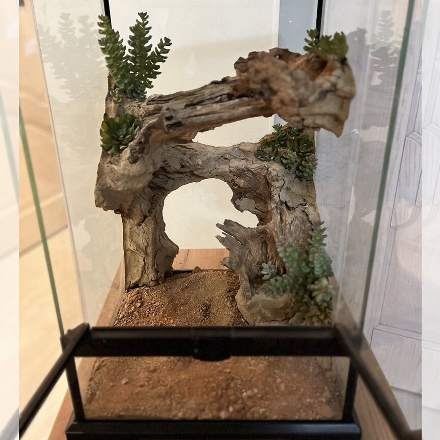 Хабитат с готовым декором 30х30х60