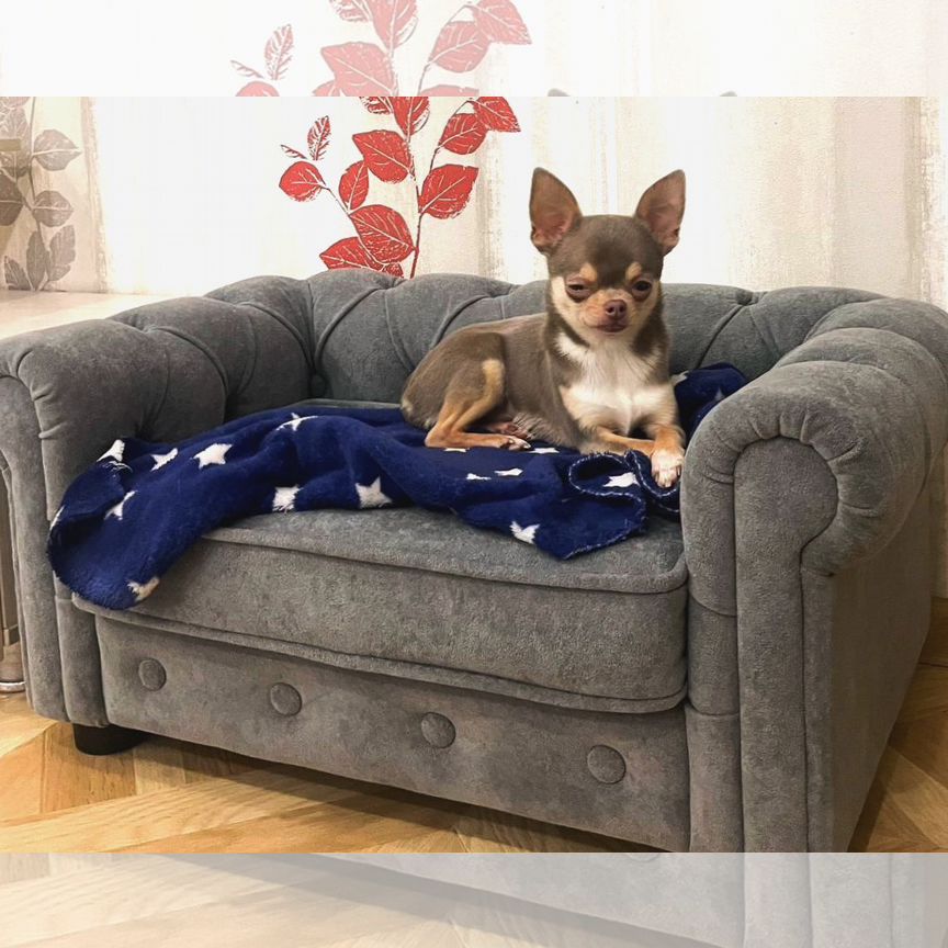 Лежанка для маленьких собак и кошек