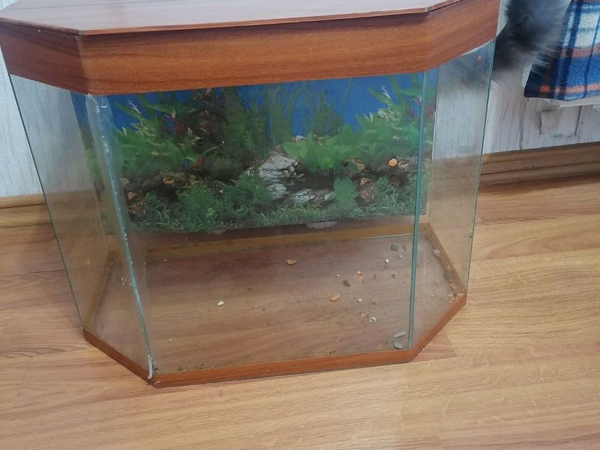 Аквариум 60л