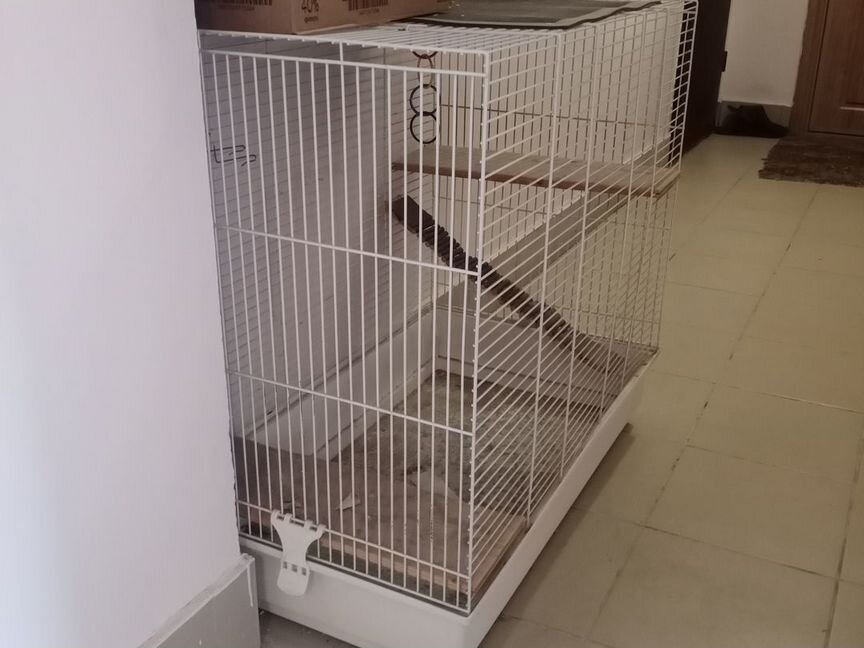 Клетка для домашних гызунов. Самовывоз