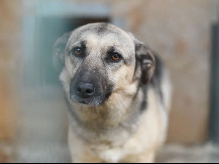 Скромная молодая Октавия ждет хозяйку