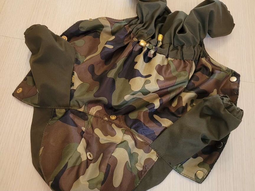 Одежда для собак