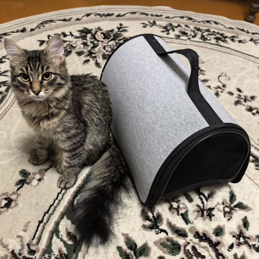 Переноска для животных до 4 кг 40х24х24 см