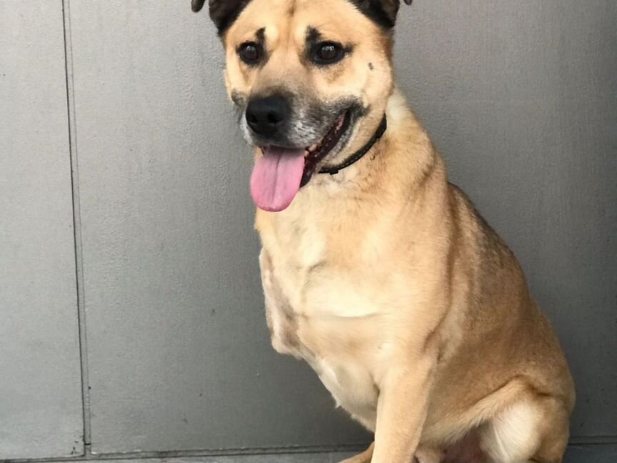 Юлик-инвалид