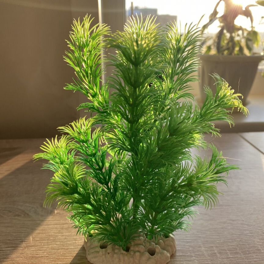 Украшение зелень для аквариума