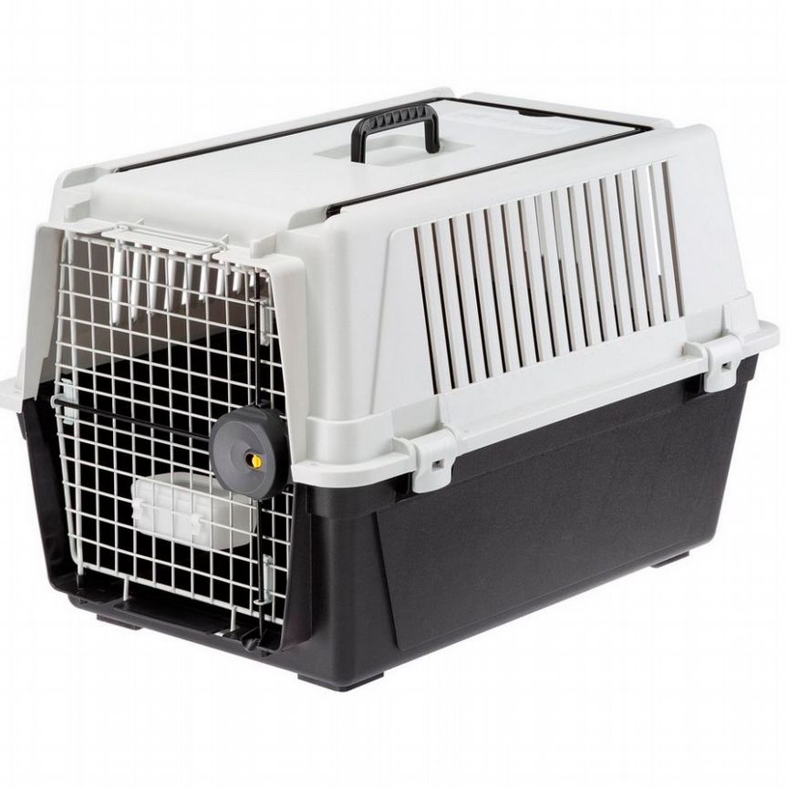 Переноска Atlas 40 Professional (684945,5 см)