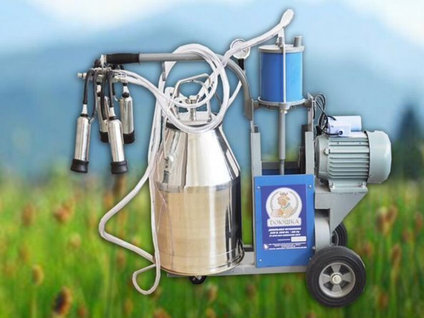 Доильный аппарат