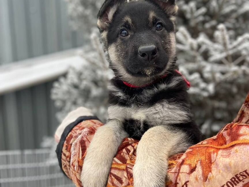 Единая Россия из Третьяковской галереи