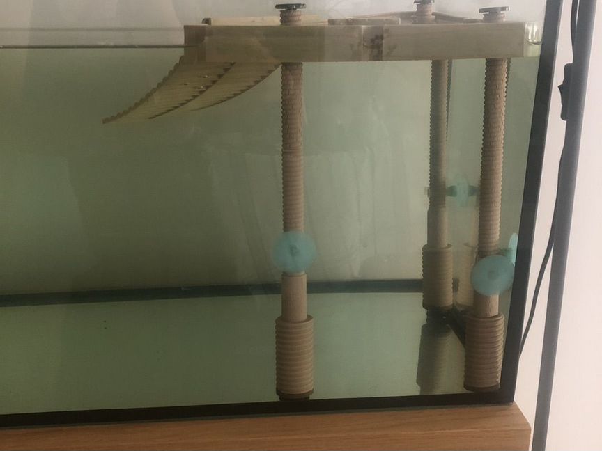 Островок для черепахи