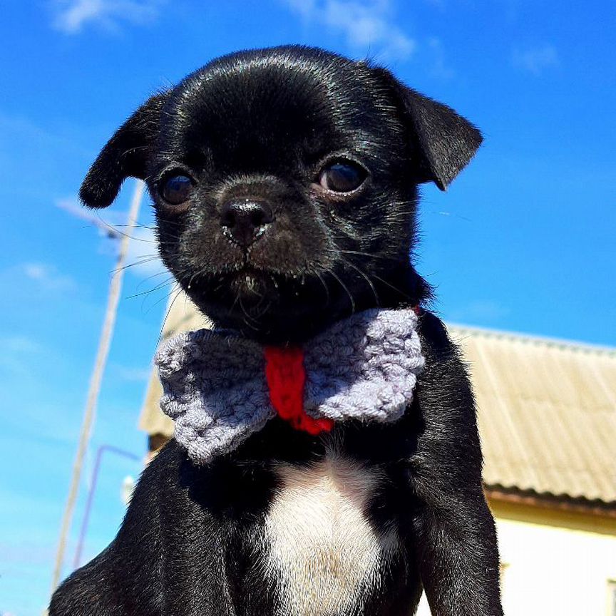 Крутые мальЧишки