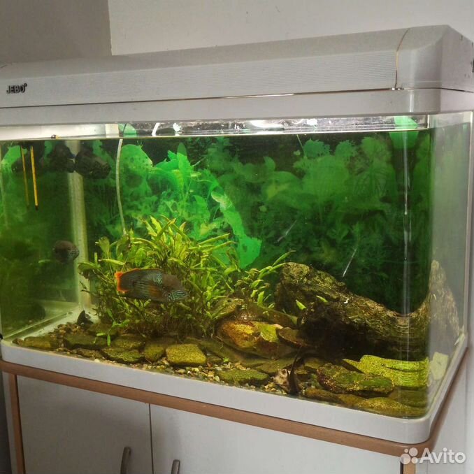 Аквариум jebo 160л