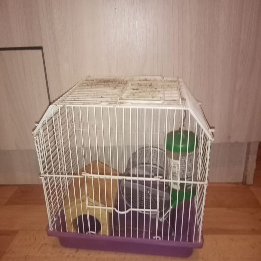 Клетка для грызунов бу