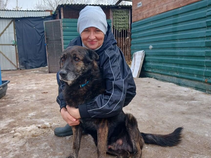 Добрый старичок Потап из приюта Некрасовка