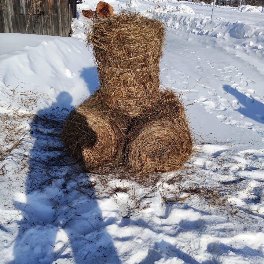 Сено в мини рулонах