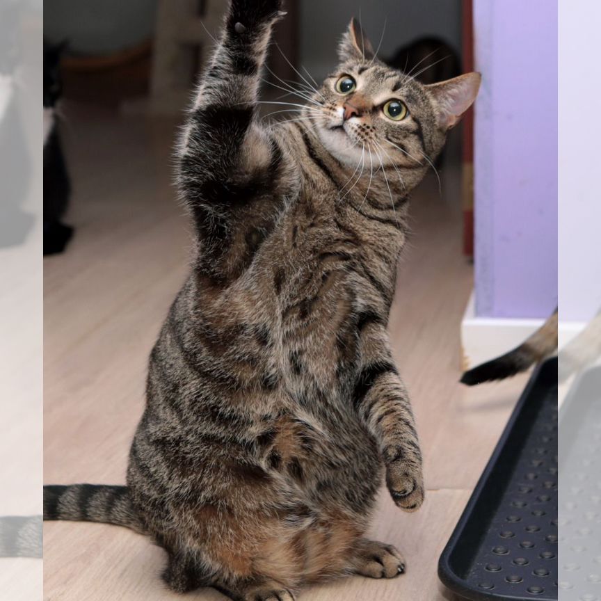 Забери меня домой