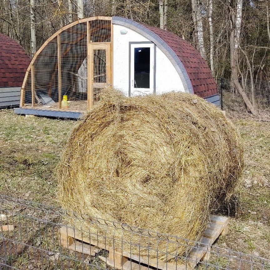 Козлятник и птичник