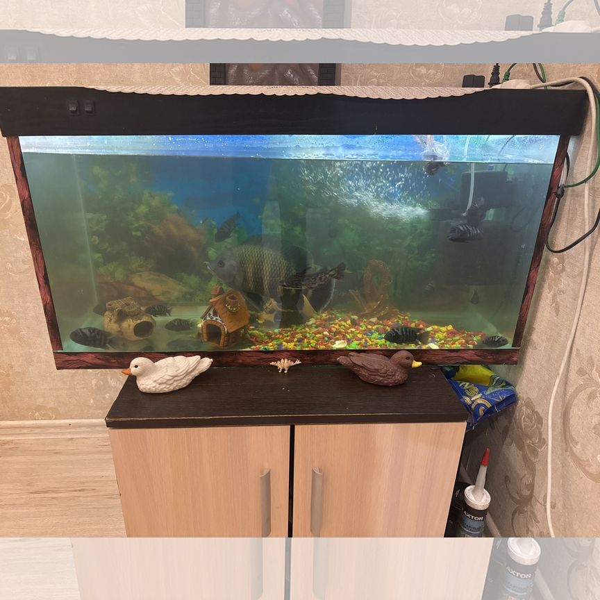 Аквариум на 160 литров