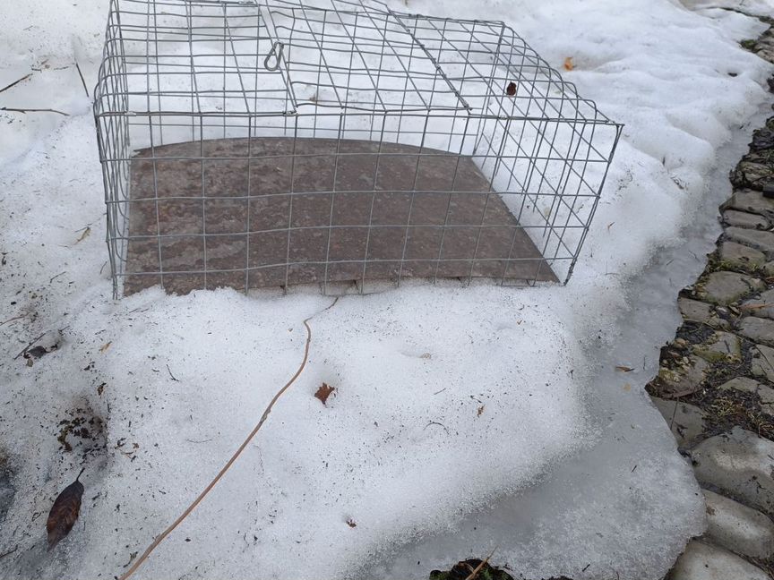 Клетка для перевозки птицы(куры, утки)