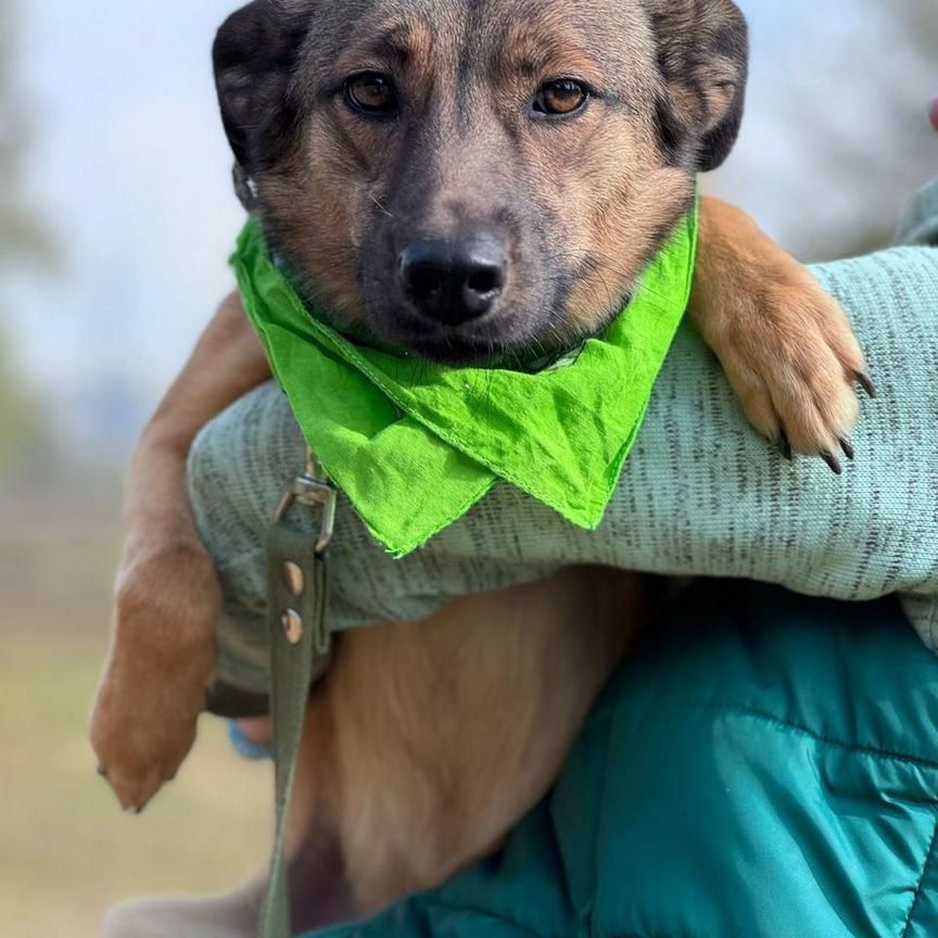 Малышке Саше холодно и страшно в приюте нужен дом