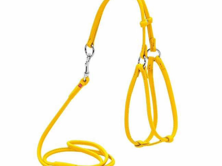 Шлея с поводком waudog glamour для собак, кожаная