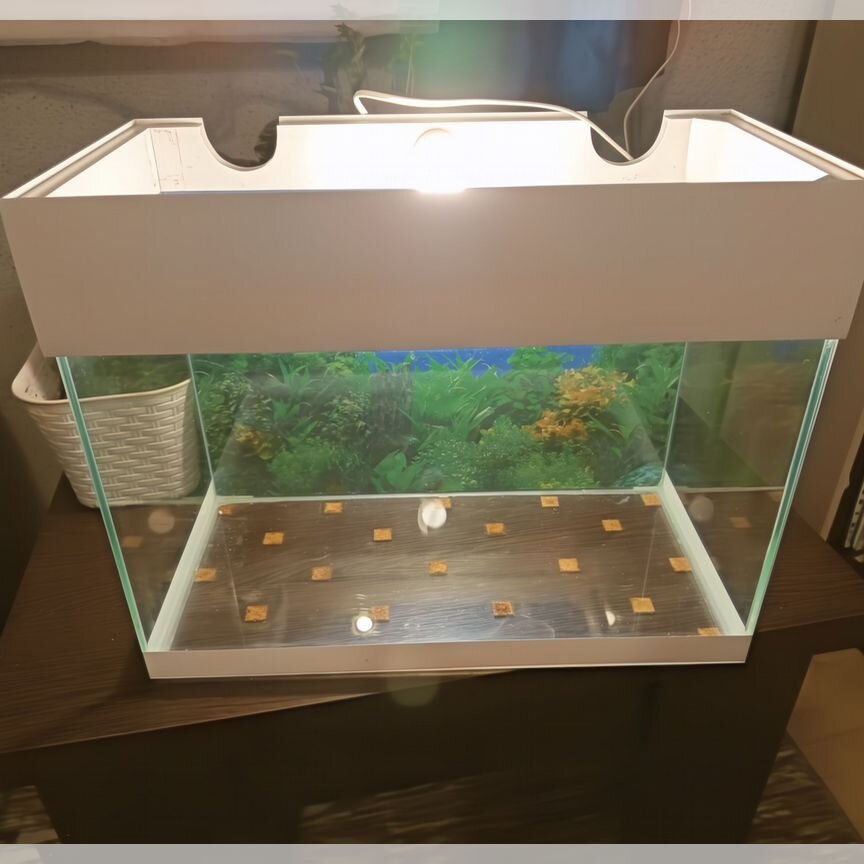 Аквариум на 40 литров