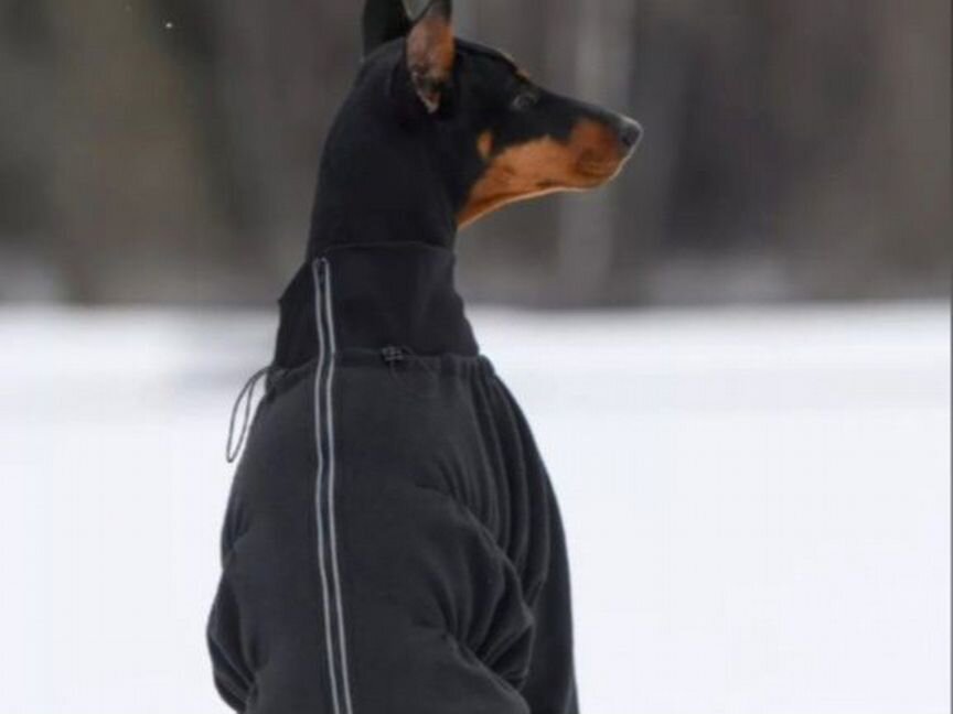 Флисовый комбинезон для крупных собак