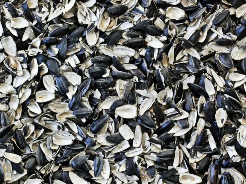 Лузга подсолнечника