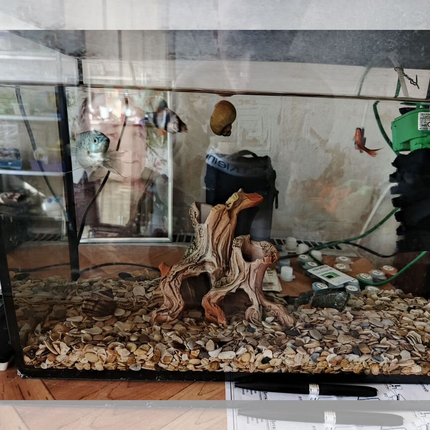 Аквариум с рыбками