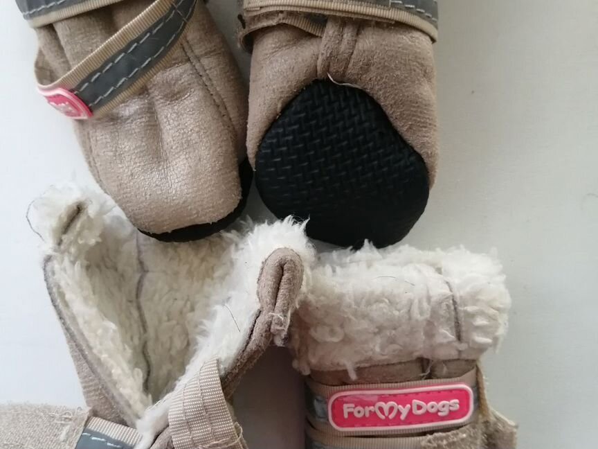 Обувь для собачки