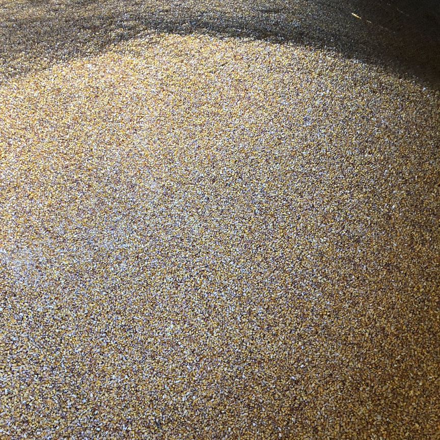 Кукуруза зерно