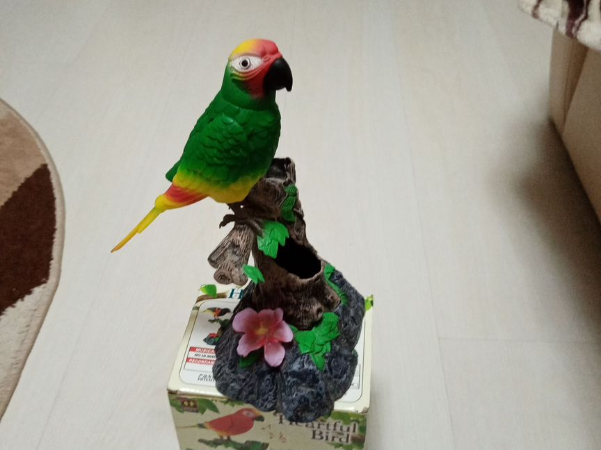 Говорящий попугай
