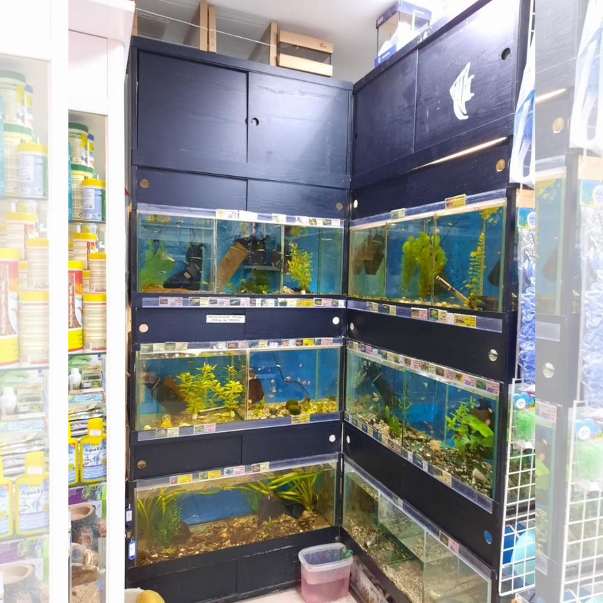 Аквариумные стойки 4-ярусные