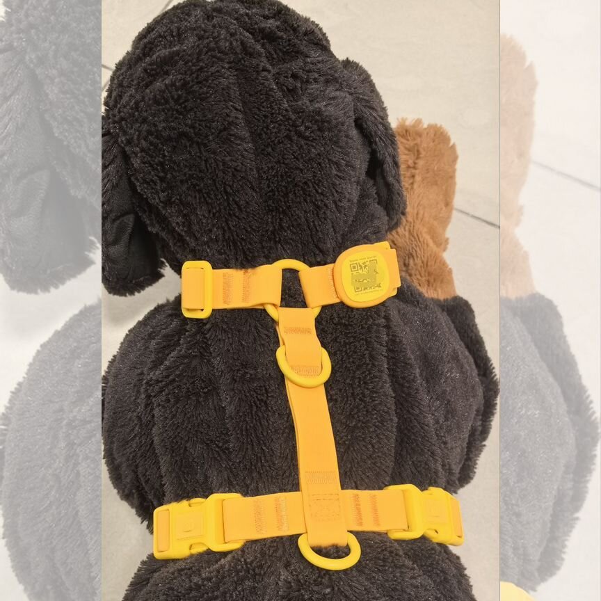 Шлейка из неотана для средних пород собак