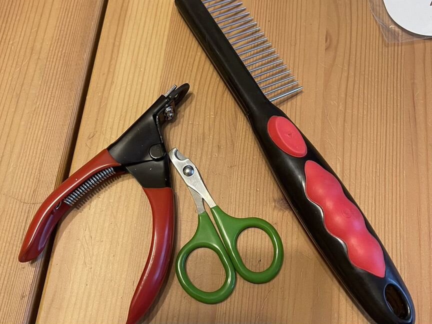 Расческа и ножницы для котов