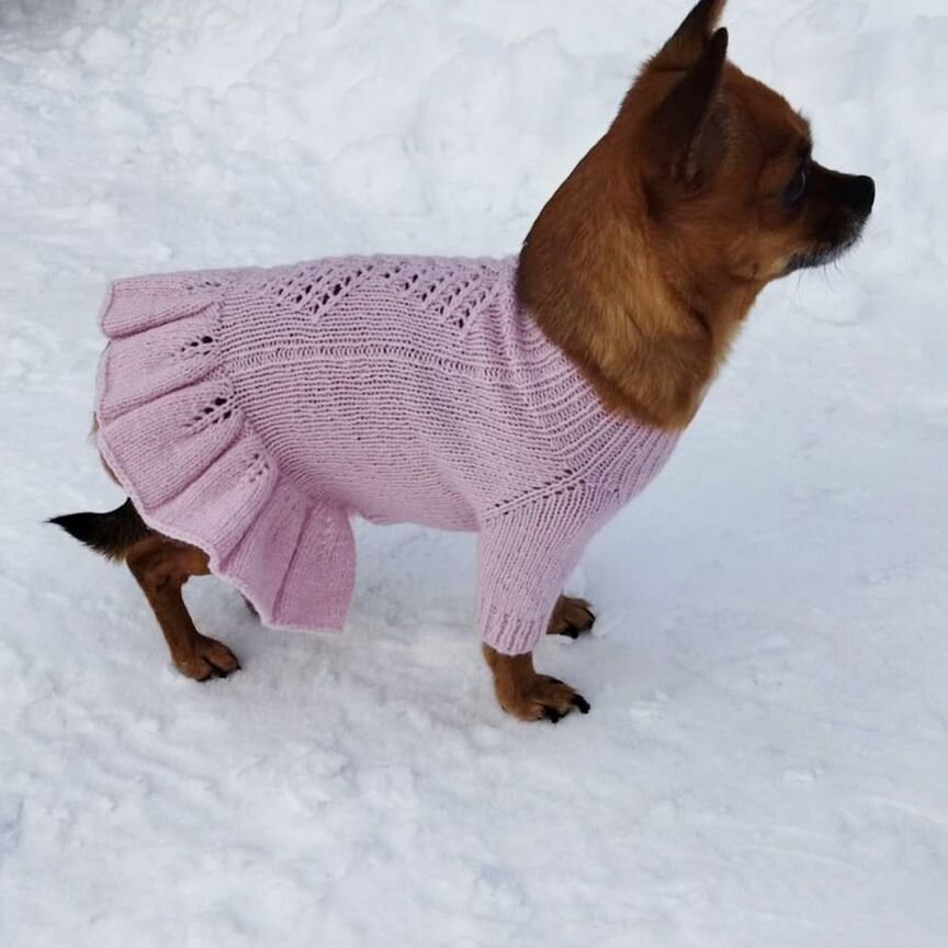 Вязаная одежда для маленьких собак